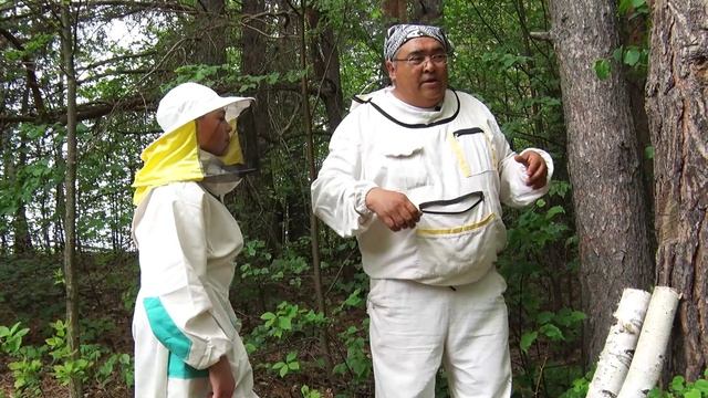 ЗЕРНО | Детям о сельском хозяйстве | Пчеловодство