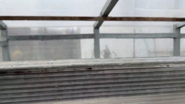 Поставили "двойку" непутёвым садоводам! Позорище!!!