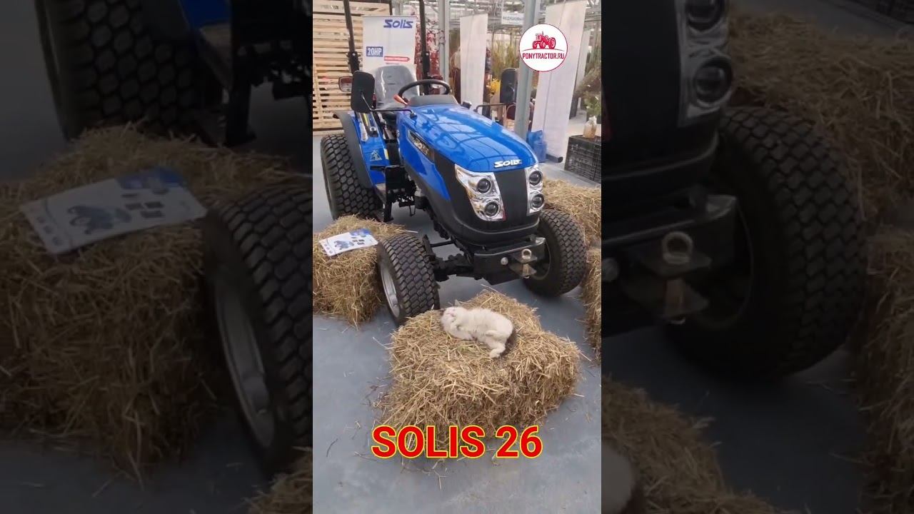 его зовут Solis! #минитрактор #минитрактора #минитракторы #понитрактор #трактор #тракторсиний