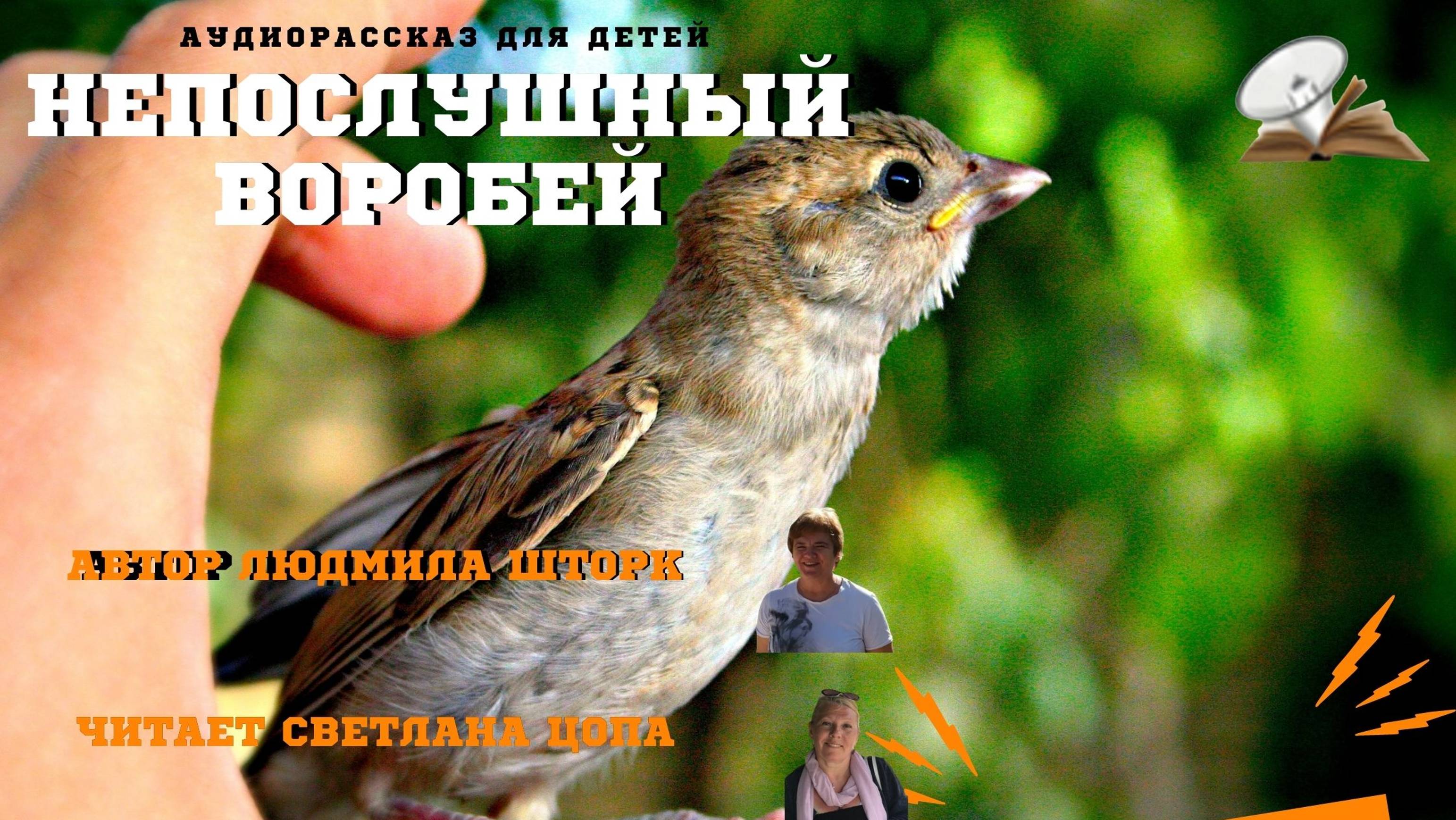 Непослушный воробей