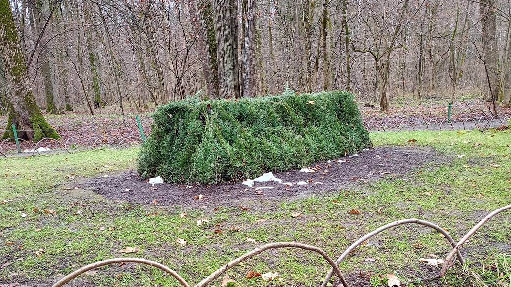 Ясная_Поляна_Могила_Л.Н.Толстого_17.11.2024