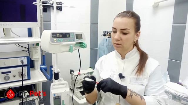 Система ветеринарная для переливания крови BALF ®