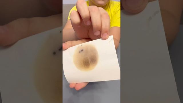 Опыт «Отпечатки пальцев»