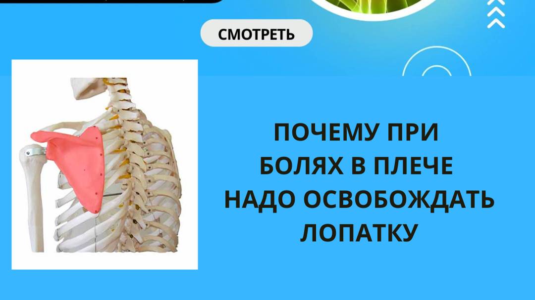 ПОЧЕМУ ПРИ БОЛЯХ В ПЛЕЧЕ НАДО ОСВОБОЖДАТЬ ЛОПАТКУ