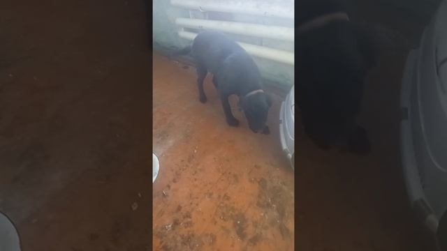 вот такие мы стали.