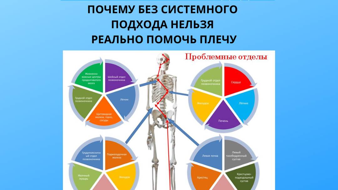 ПОЧЕМУ БЕЗ СИСТЕМНОГО ПОДХОДА НЕВОЗМОЖНО ОЖИДАТЬ РЕАЛЬНОЙ ПОМОЩИ ПЛЕЧУ.