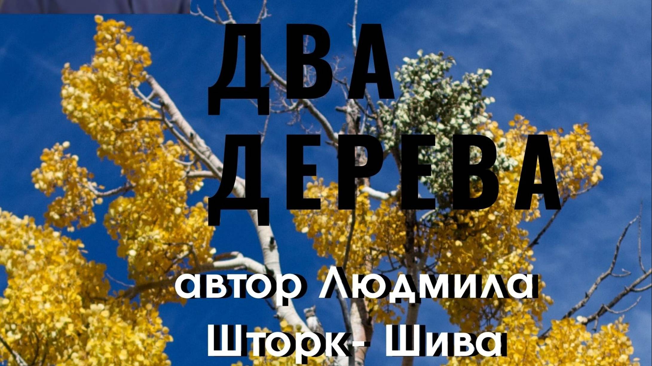 Два деревца