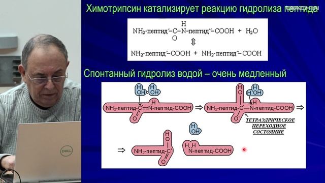 Финкельштейн А.В. - Физика белка - 17. Белковая структура в действии