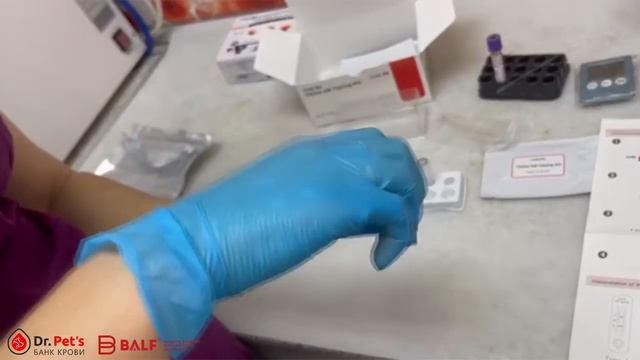 Тест для определения группы крови у кошек Kabb Bio