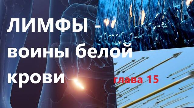 Лимфы. Воины белой крови. Глава 15. Крепость аппендикс.