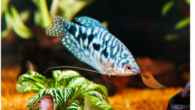 наслаждение морем