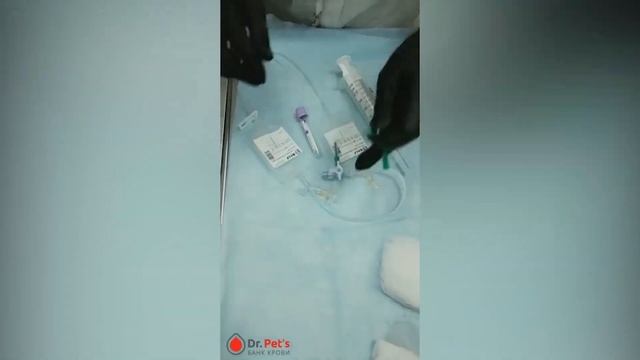 Как правильно делать забор крови!?