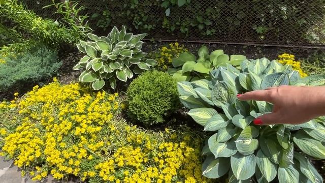 11 день отпуска на даче. Заключительная часть, особенная