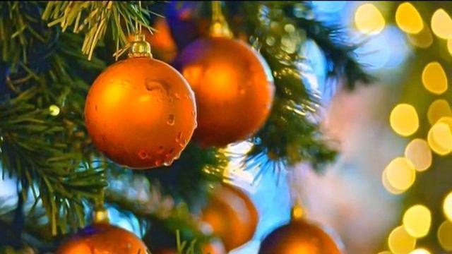 Мой Дед Мороз Ирина Митина Михаил Шкода ОАО Светлогорский ЦКК Автор видео Нина Р