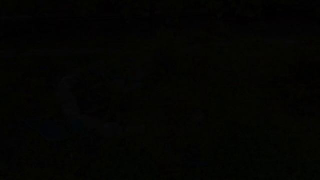 У нас пополнение! Знакомьтесь  с нашим новым членом семьи!