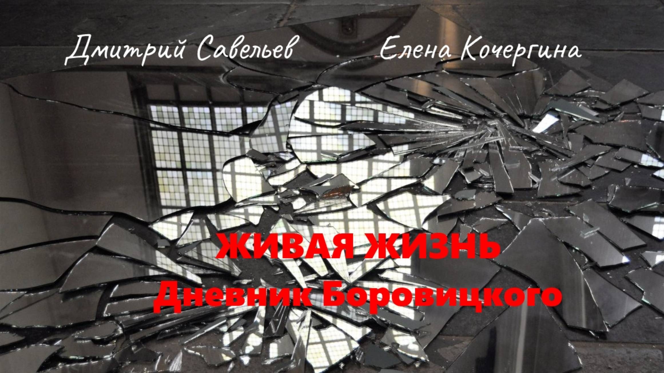 Живая Жизнь. Дневник Боровицкого (Дмитрий Савельев, Елена Кочергина). Ч.27