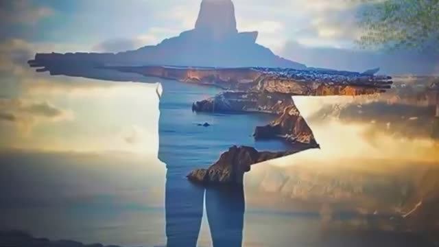 Птицы Белые Мои