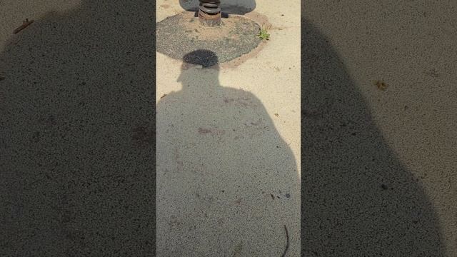 Чёткая тень почти в полдень)!