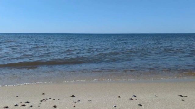 Радость и благодарность: как посеять хорошие кармические семена