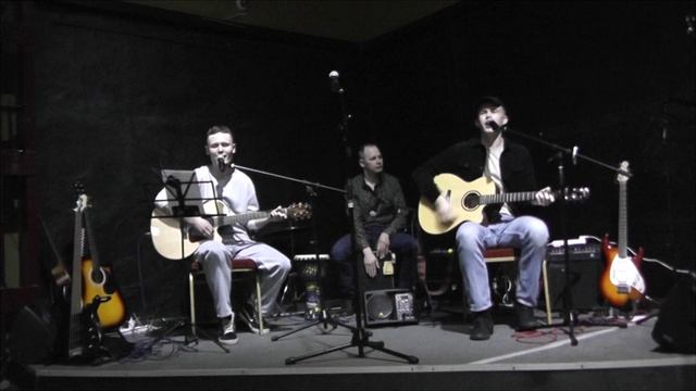 Про голубей