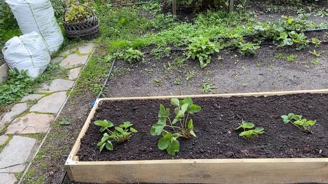 Купили доски, заблудилась в садах. Такой вот день!