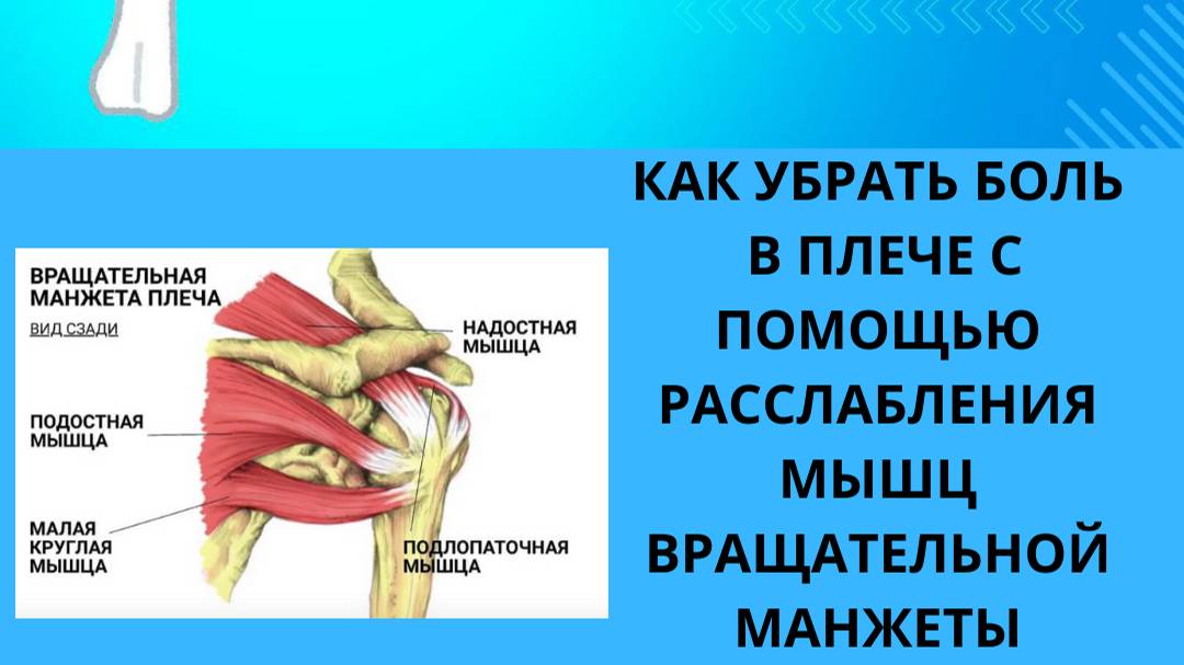 КАК УБРАТЬ БОЛЬ В ПЛЕЧЕ С ПОМОЩЬЮ РАССЛАБЛЕНИЯ МЫШЦ ВРАЩАТЕЛЬНОЙ МАНЖЕТЫ.