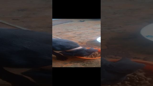 мы подросли.