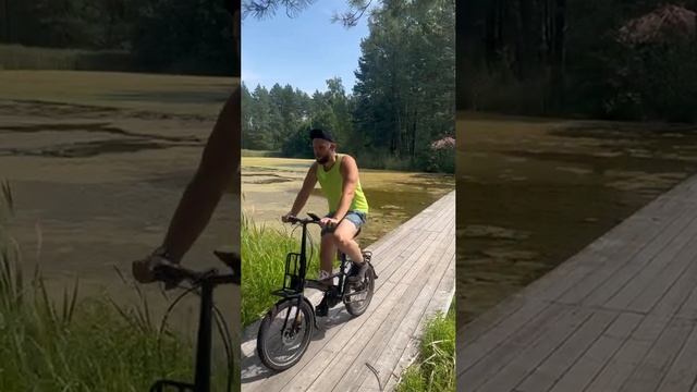 Shulz Lentus  с планетарной втулкой на 7 скоростей