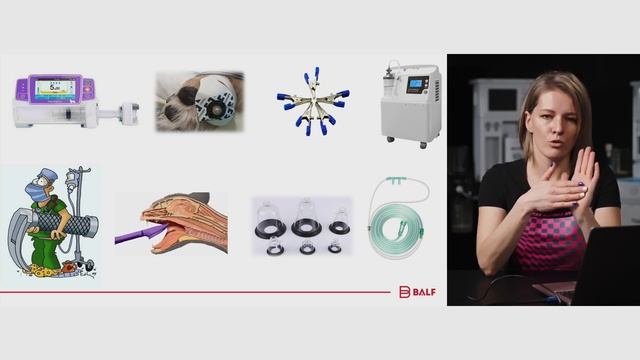 Анестезиология в ветеринарии. С чего начать?