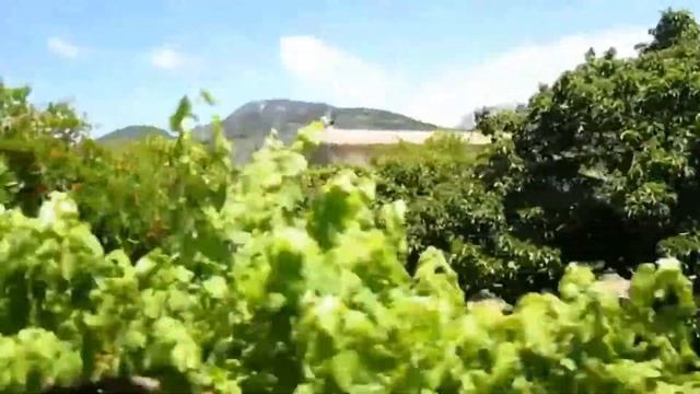 Город Сольер часть 2. Магазины, старинный трамвайчик и Порт Сольер. Отдых на Майорке. Куда съездить