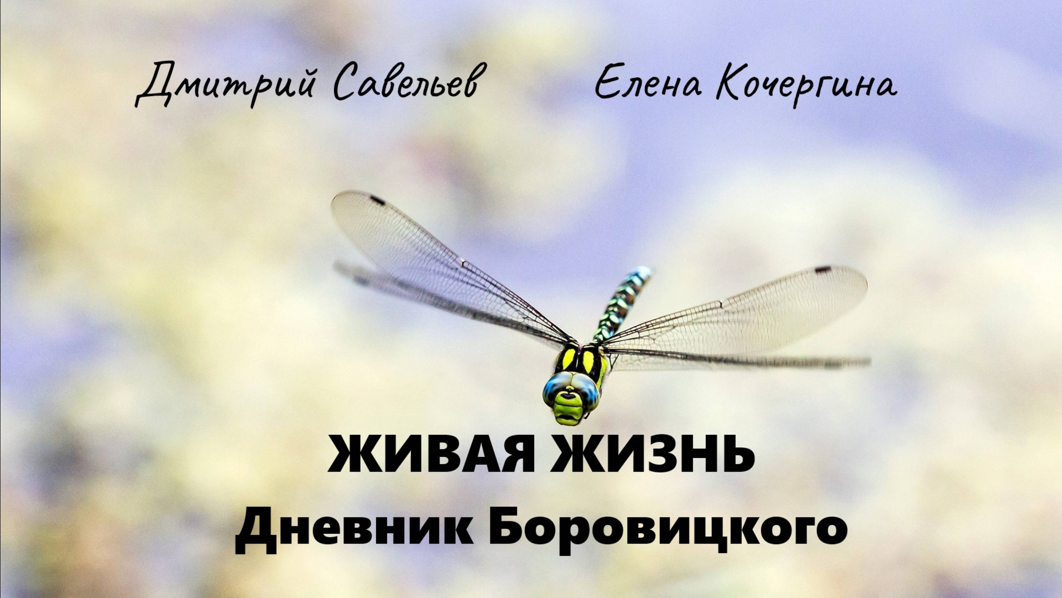 Живая Жизнь. Дневник Боровицкого (Дмитрий Савельев, Елена Кочергина). Ч.28