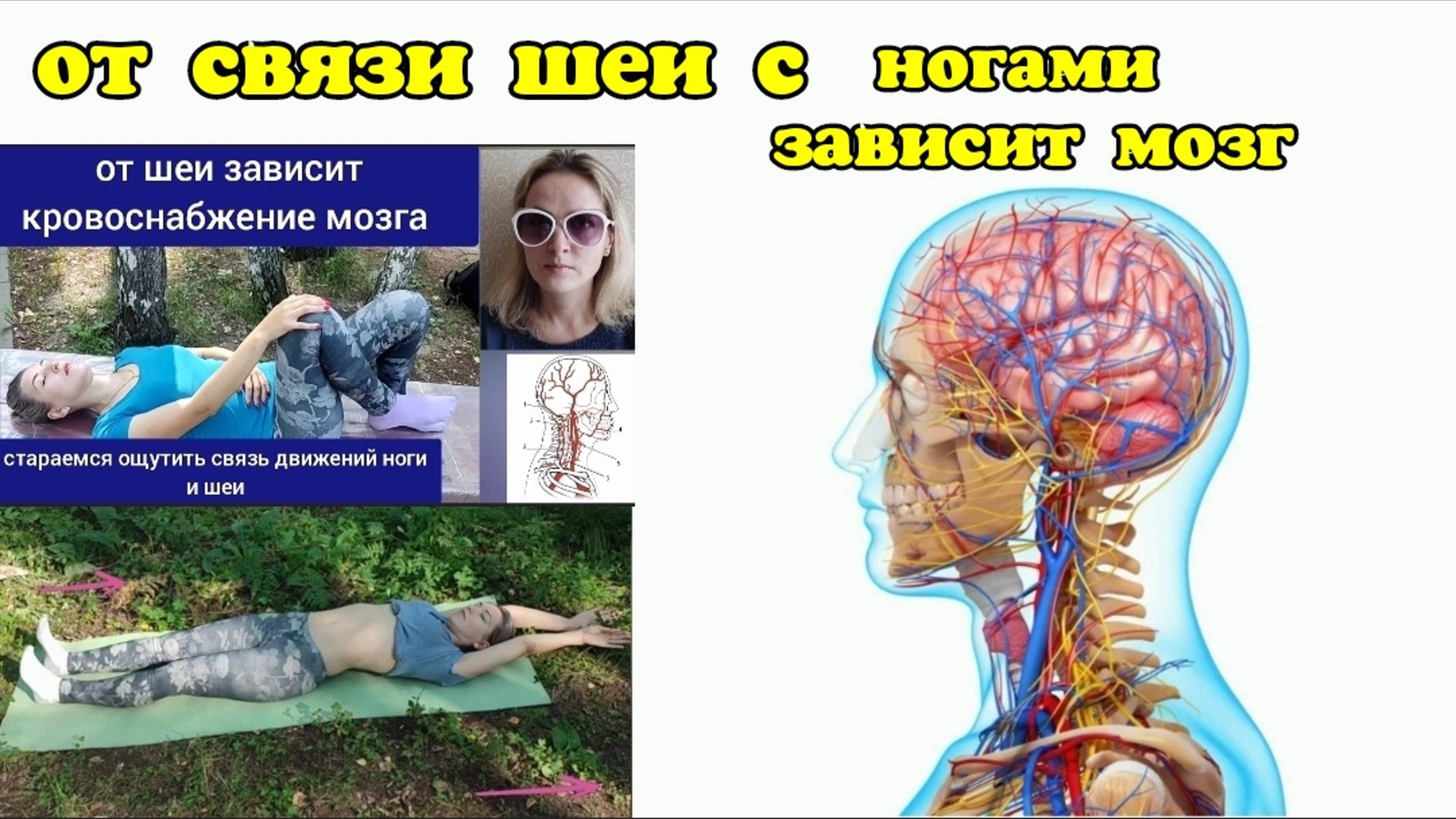 Диски шеи дают жизнь мозгу. Синхронные упражнения для шеи и тазобедренных суставов