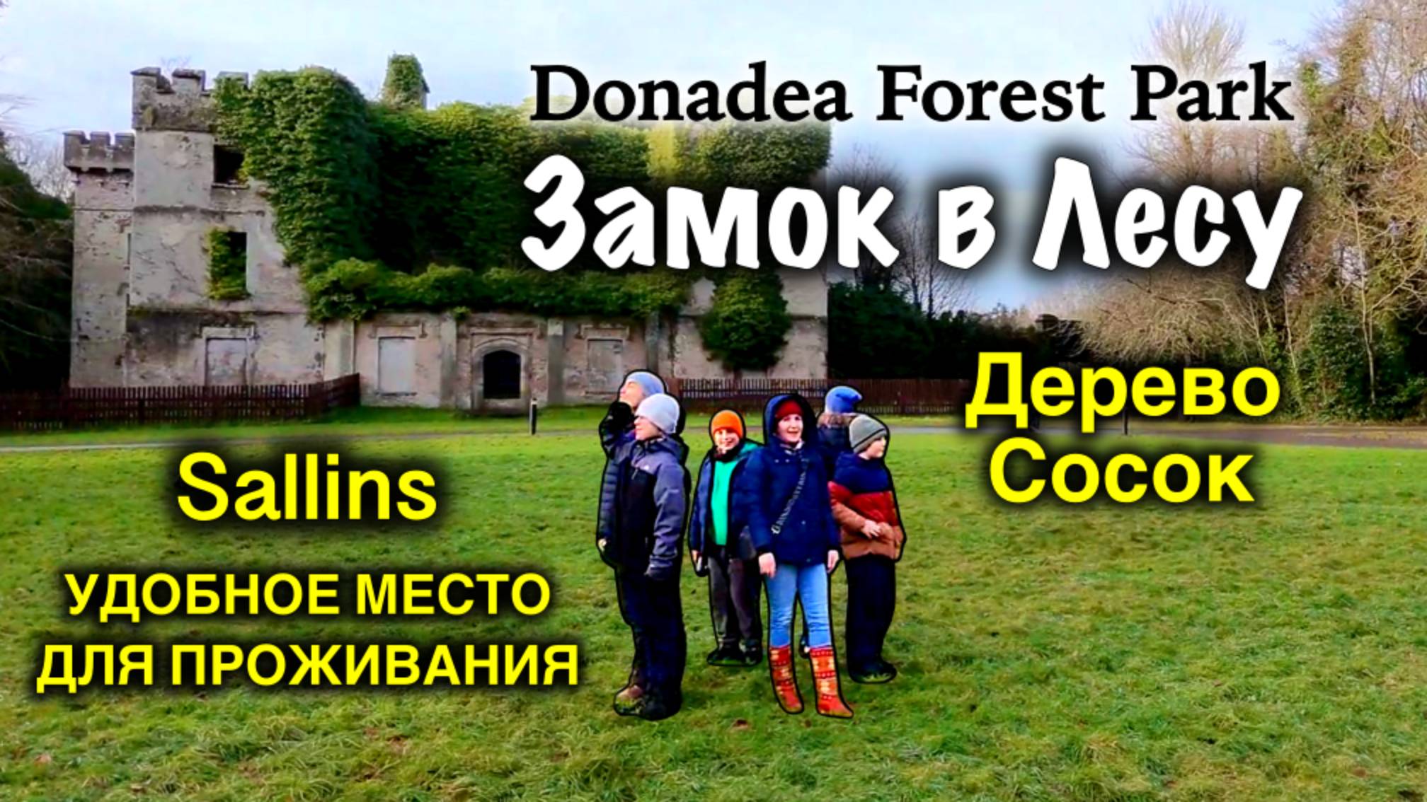 Ирландия🇮🇪Замок в Лесу🏰Дерево Сосок/Мемориал 9/11🙏Donadea Forest Park/Sallins/Где Удобнее Жить