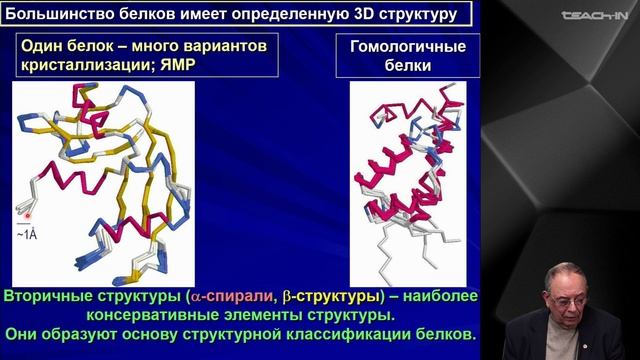 Финкельштейн А.В. - Физика белка - 1.Вступление и общий обзор курса