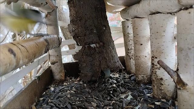 Кушать подано .