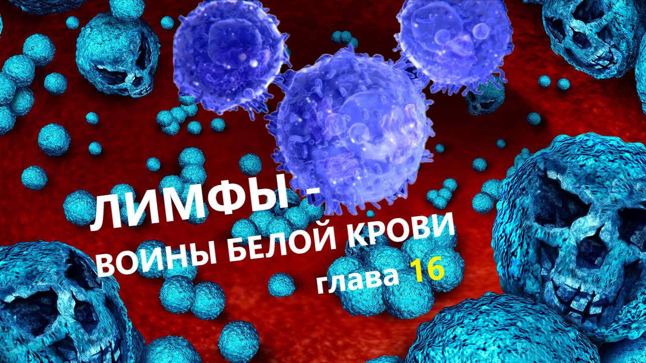 Лимфы. Воины белой крови. Глава 16. Сражение за легкие.