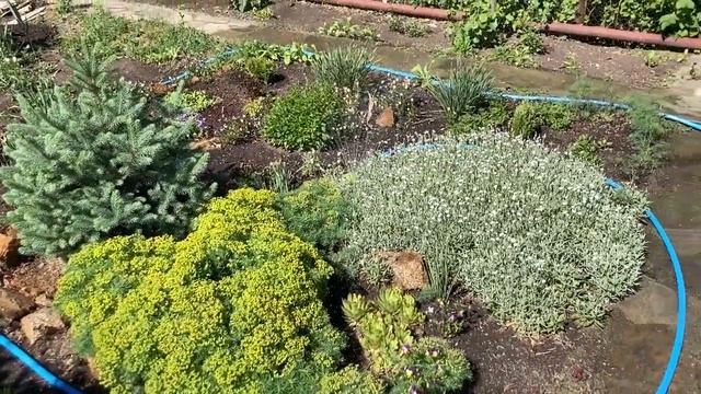 Купила новую поливалку! Как она себя показала в работе Хорошая или плохая Тестирую