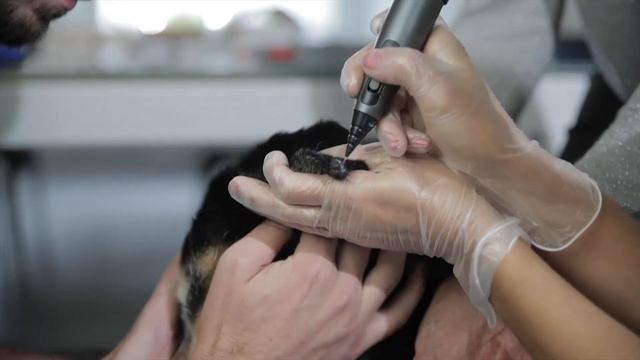 FreezPen - выдающиеся результаты лечения!