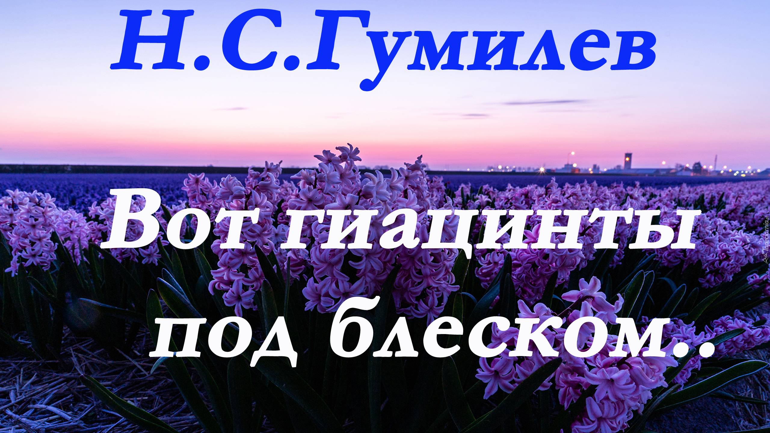 Николай Гумилев - Стихи о любви. Гиацинты под блеском.Картонажный мастер.Перед ночью северной...