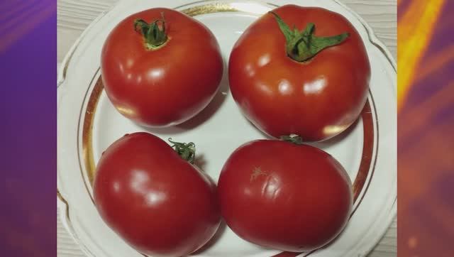 Томаты для открытого грунта - НОВИНКИ сезона 2024 года.