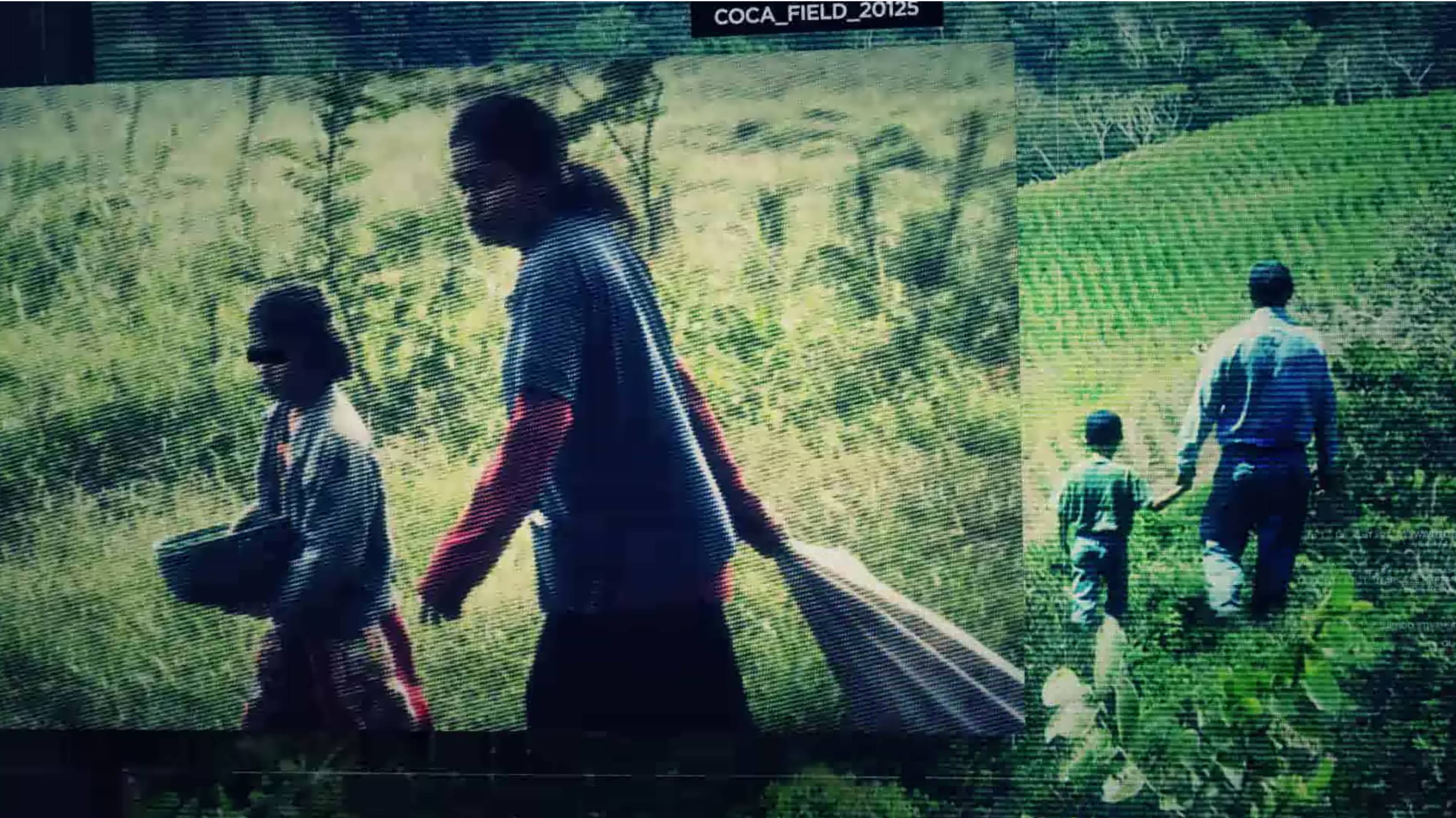 Ghost Recon® Wildlands Режим " Призрак " Провинция Табакаль.