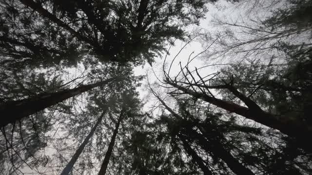 Поход выходного дня, Белое озеро, день первый