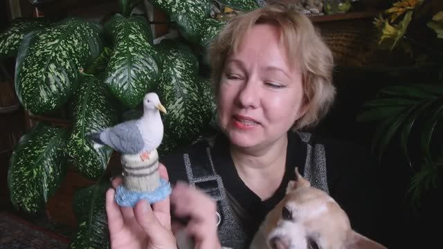 большая прогулка по маленьким улочкам Риги. Рената Смирнова. Рига