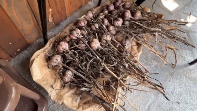 Зачем загораю перед отпуском? Грибной сбор сорвался, помогаю мужу с гаражом