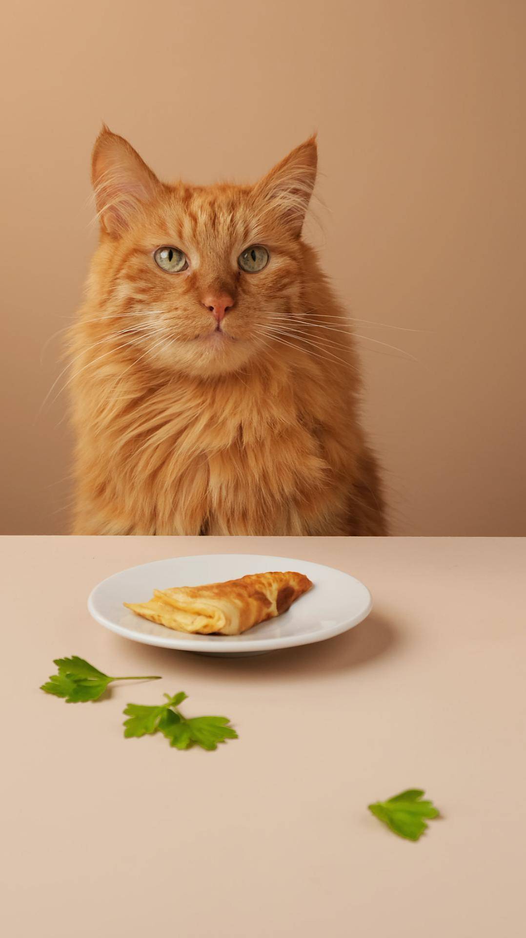 Кулинарное искусство для настоящего гурмана | Food видео