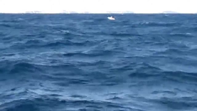 Мурманск. Рыбалка.(3)