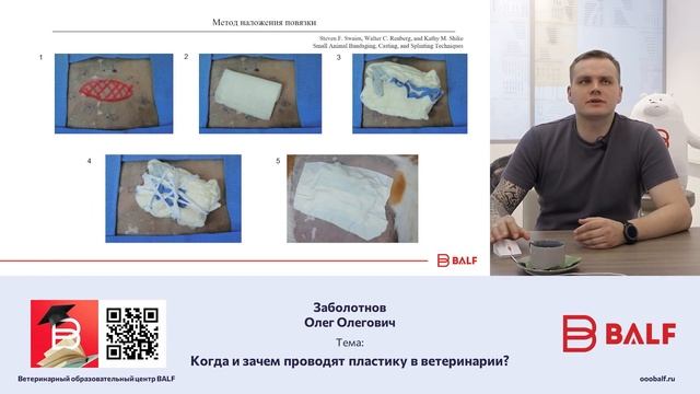 Когда и зачем проводят пластику в ветеринарии?