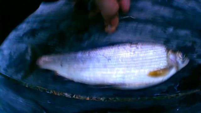 Самый длинный день. Часть вторая. Утренняя рыбалка на таёжной речке.