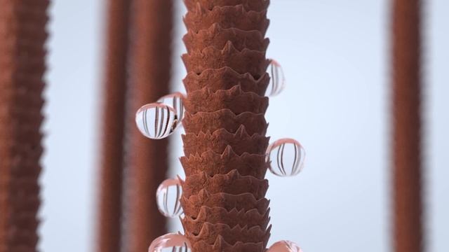 Рекламный видеоролик краски для волос C:EHKO/Портфолио SOLO PRO