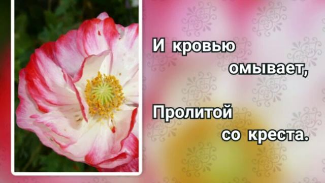 17 Мой Бог - мне жизни сила (-)